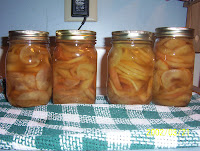 TwoBGardening: SPICED APPLE RINGS