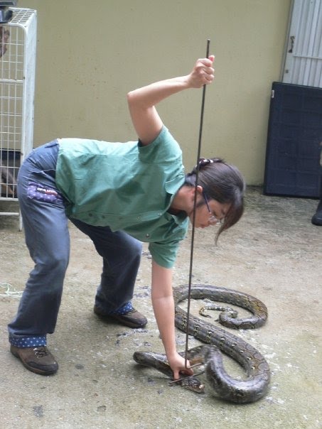 Vet On The Wild Side: The beginning of a new chapter