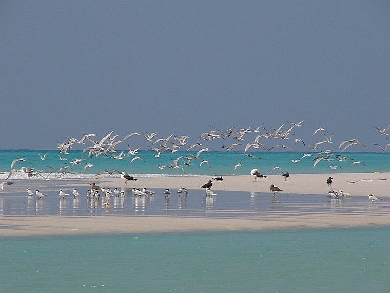 Beautiful World Pictures: Somalia Beaches and Landscape
