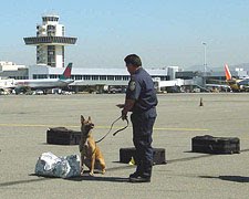 Dog Law Reporter: Explosives Detection Canine Teams Increase at ...