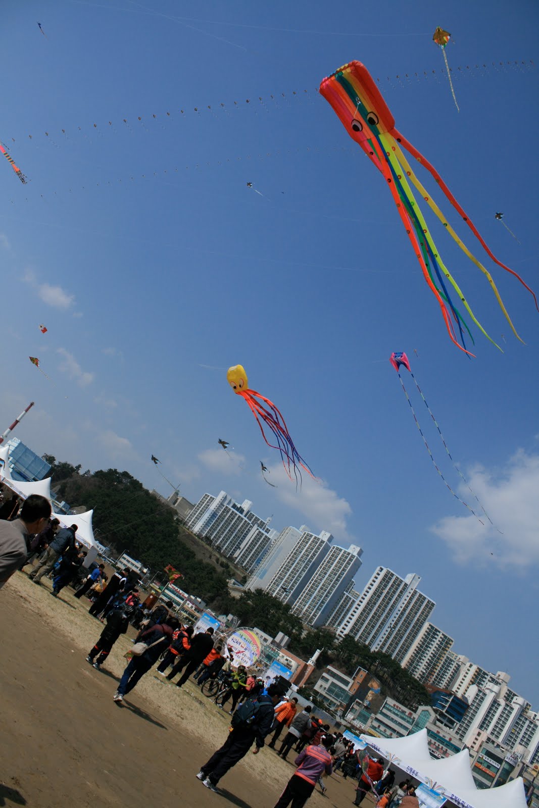 Jill in Korea: International Kite Flying Contest