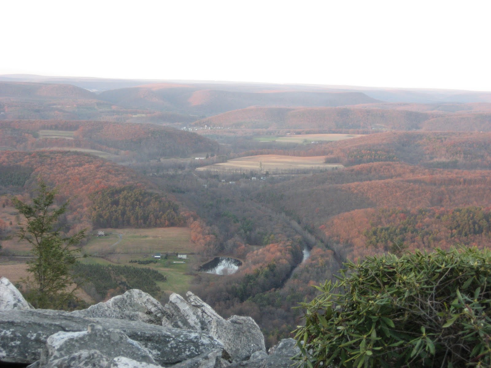 Local PA: Hawk Mountain Sanctuary - Kempton, PA.