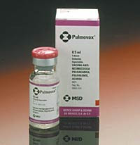 Provac Protección en Vacunas: Pulmovax