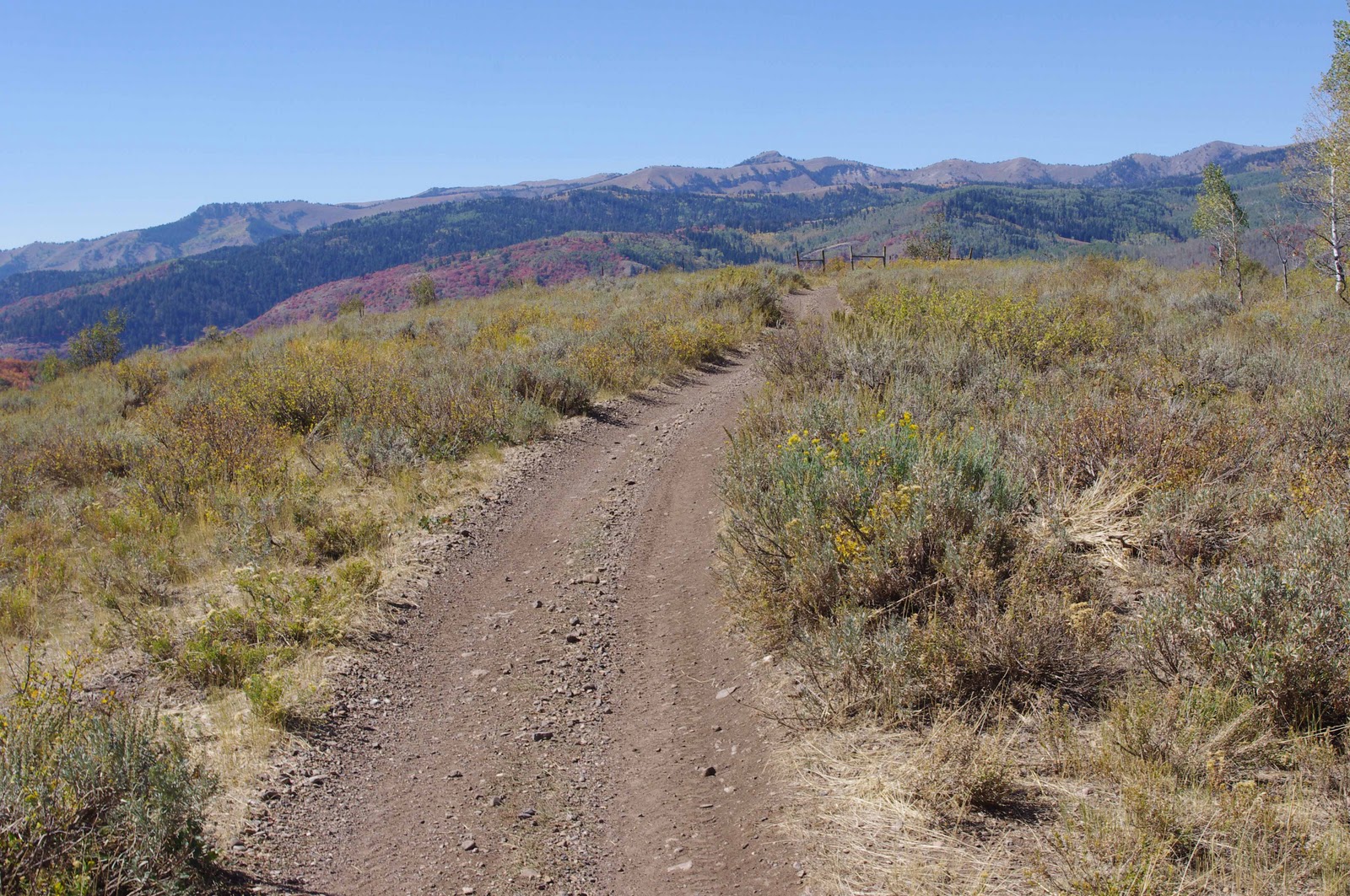 Happy ATV Trails: Worm Fence Trail (Shoshone Trail 25) Near Temple Fork ...