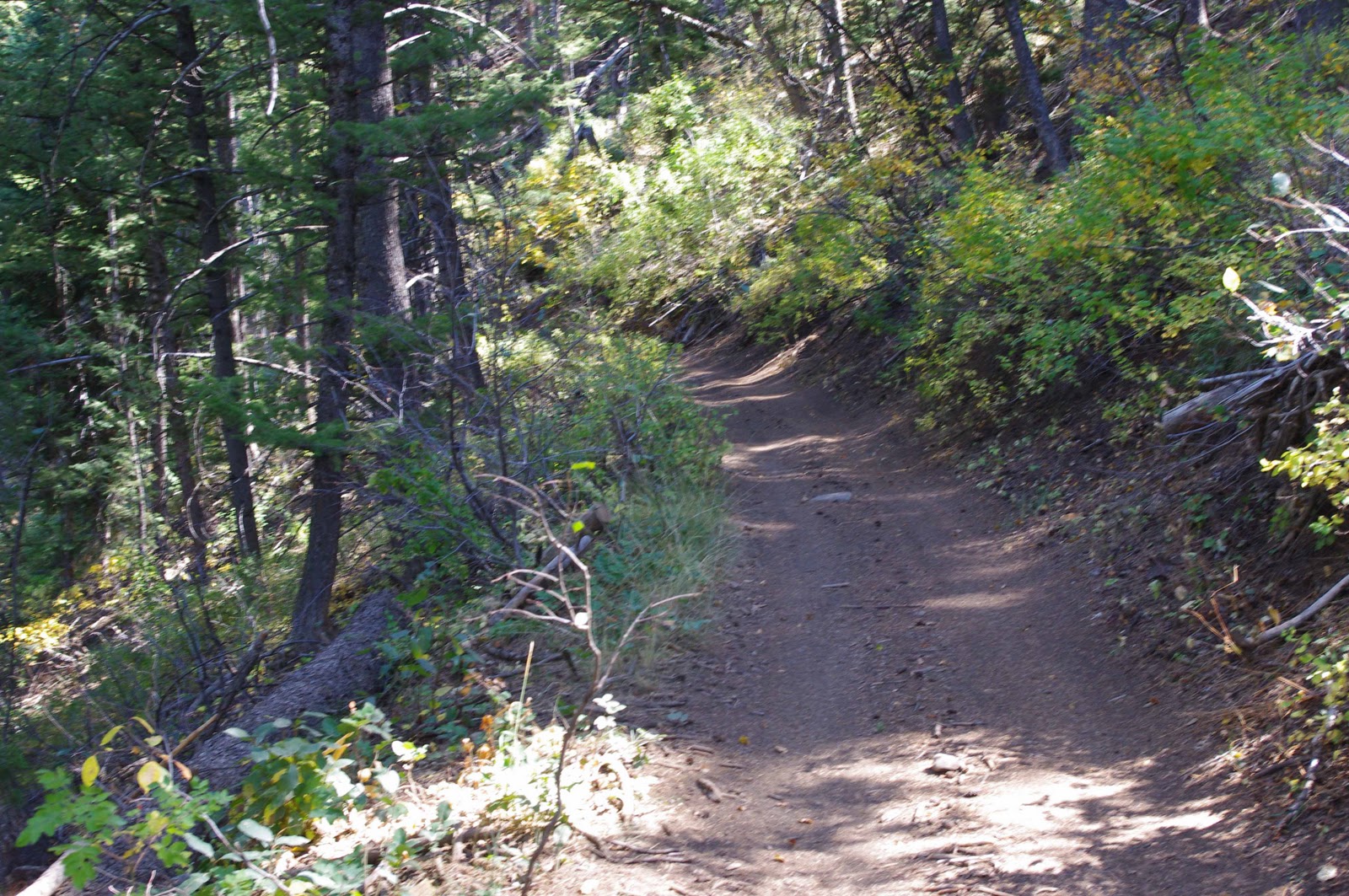 Happy ATV Trails: Little Bear Trail, Shoshone Trail 25