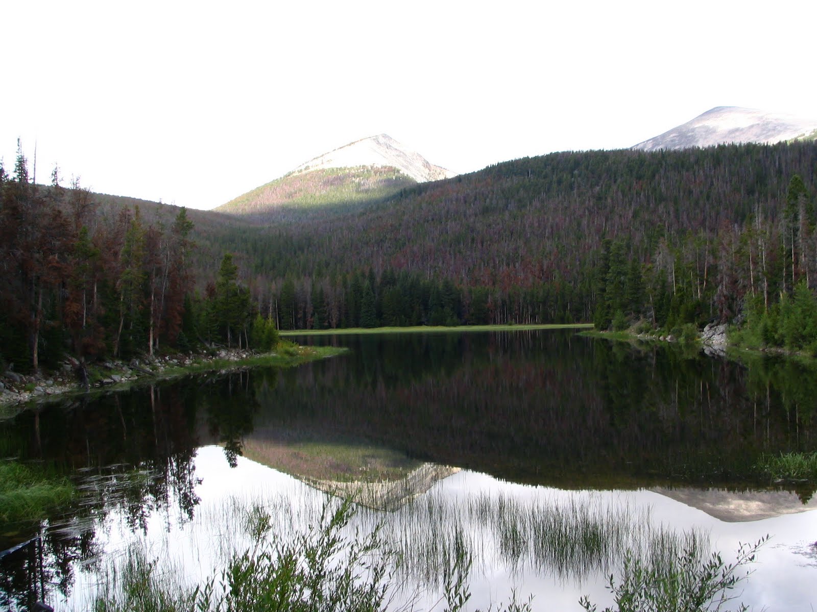 Horse Prairie Chatter: Deerhead Lake Hike