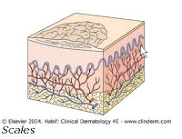 Skuama (scale) ~ Jaga Selalu Kesehatanmu