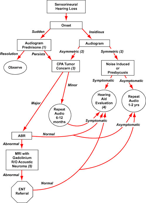 Communication Science Disorders 250: Type, Degree,and Configuration of ...