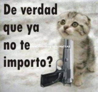 Faunum: ¿Te importo?