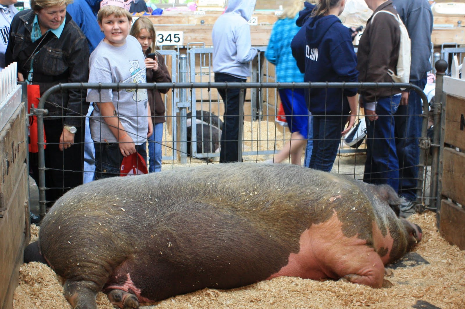 Once Upon a Family: State Fair Sights, Smells, Tastes and Cool Stuff