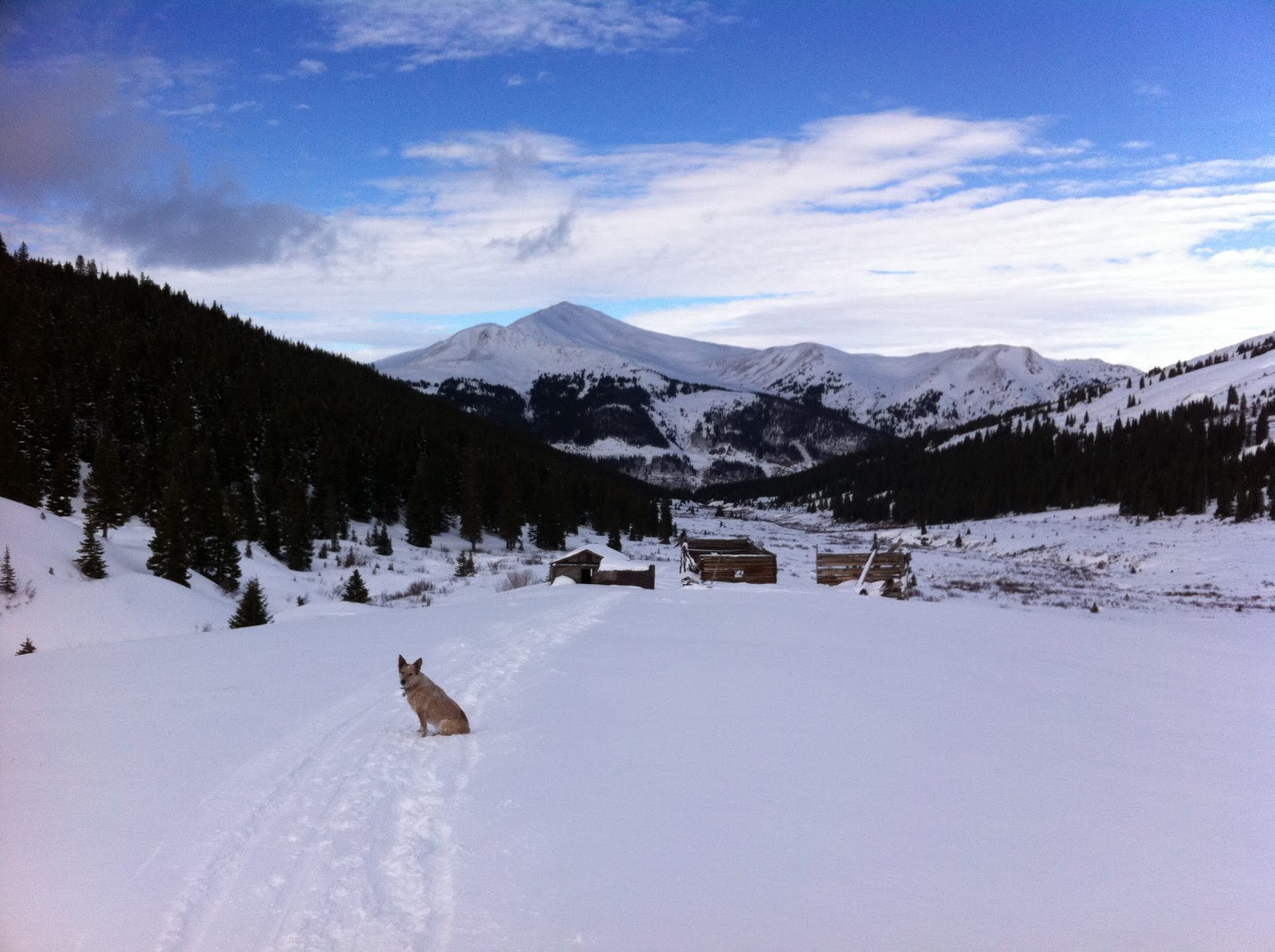 foxandthird: Snowshoeing in Mayflower Gulch