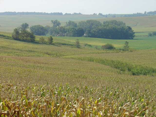 42N Observations: Iowa Corn Crop Finally Begins to Dry Ahead of Fall ...