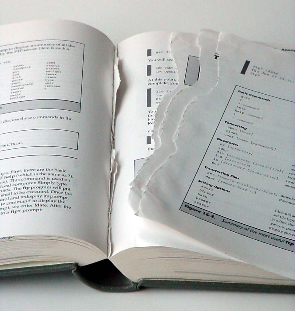 Book Chase: Bookstore Slobs