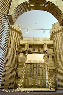 wilderimages: Stick castle