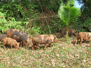Cliff & Natalie Claypool: Guam 2 Jan 09