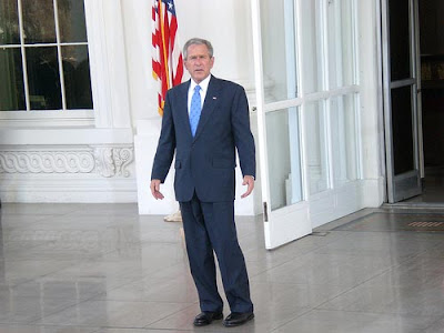 Jumping in Pools: Friday George W. Bush Open Thread