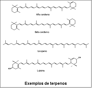 BIOLOGÍA 2º BACHILLERATO : Tema 3: LÍPIDOS