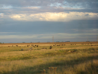 Geografía 4º1 : AMBIENTES Y RECURSOS NATURALES