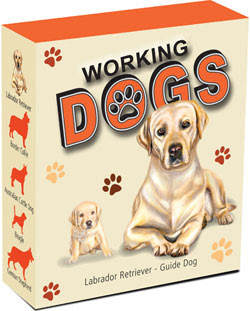 Working Dogs: Labrador Retriever Silver Coin | Lunaticg Coin