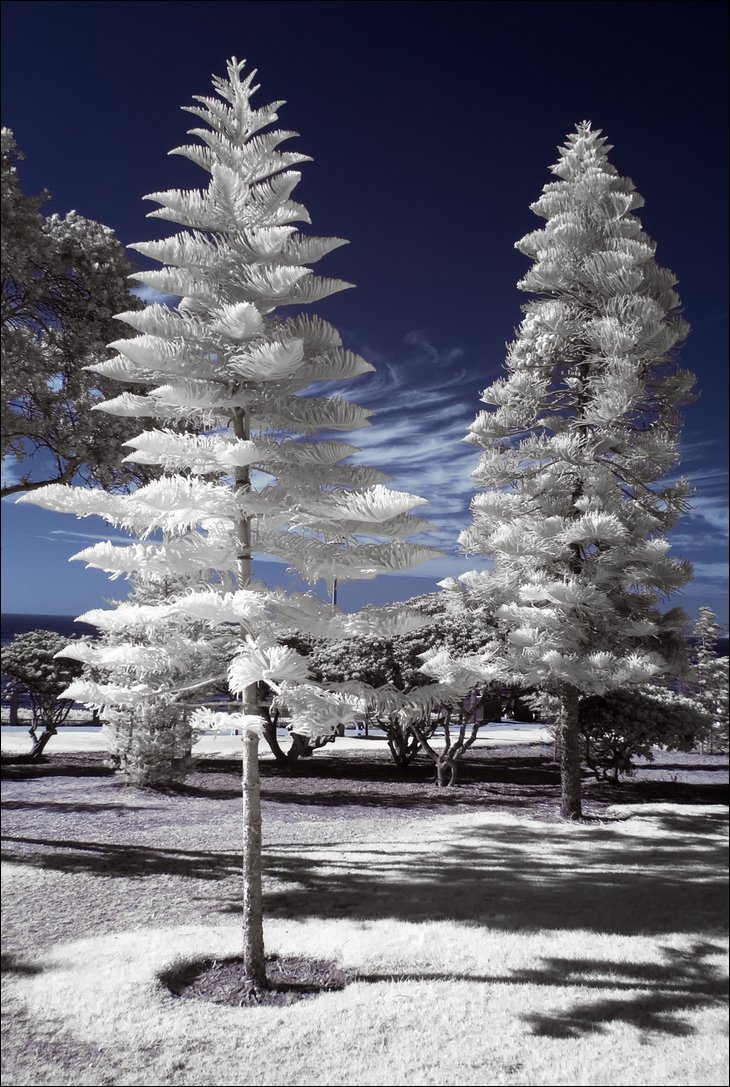 Character develops itself in the stream of life.: Infrared Photography ...