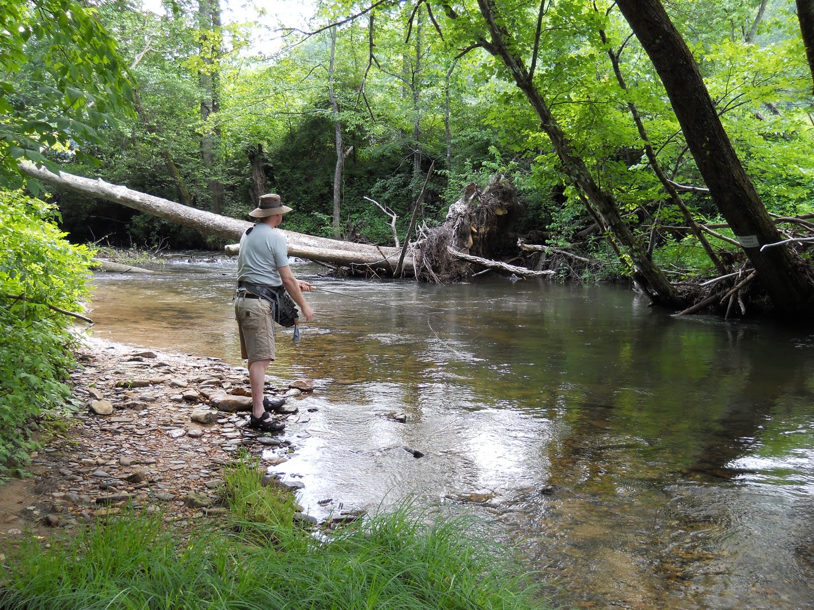 Brown Trout Fly Fishing: Green River Fly Fishing 5/27