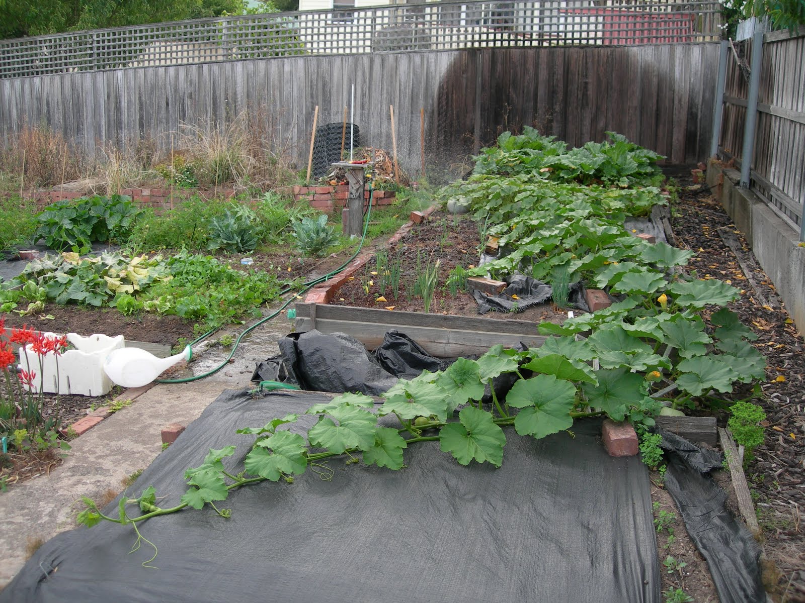 Polystyrene Garden Junkie: 2010