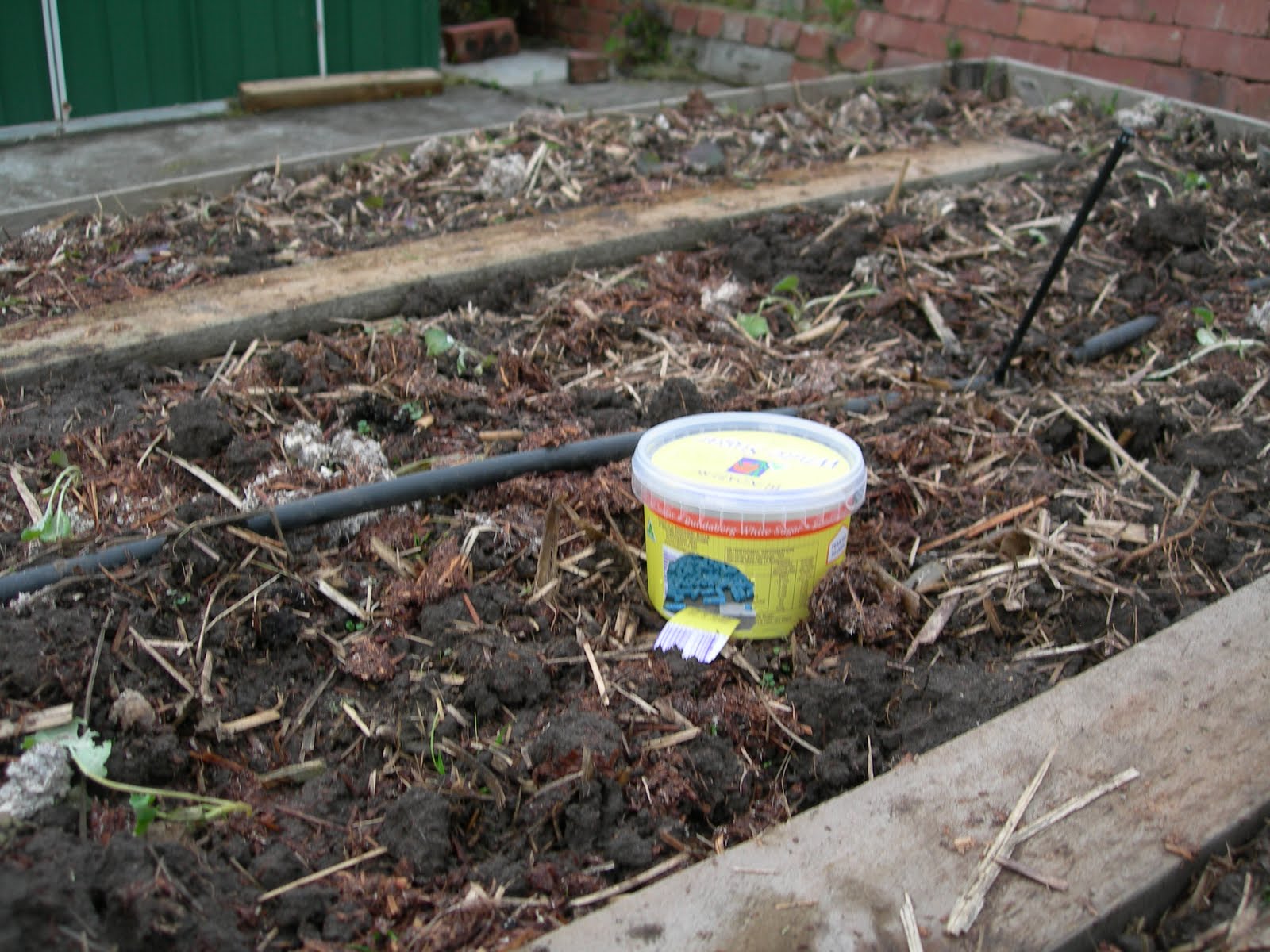 Polystyrene Garden Junkie: 2010