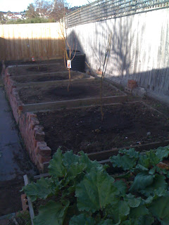 Polystyrene Garden Junkie: 2010