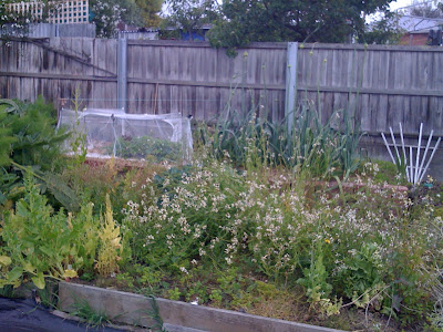 Polystyrene Garden Junkie: 2010