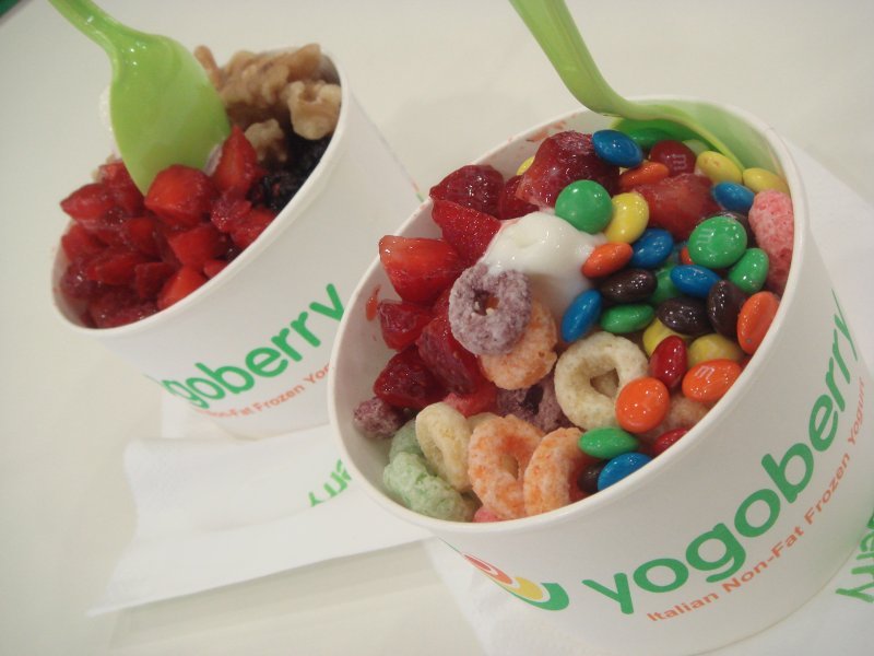 Mundo da Tamie: Yogoberry