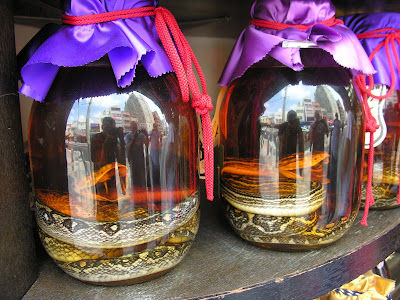 Never Stop Dreaming: Back to Okinawa! (Habu Sake)