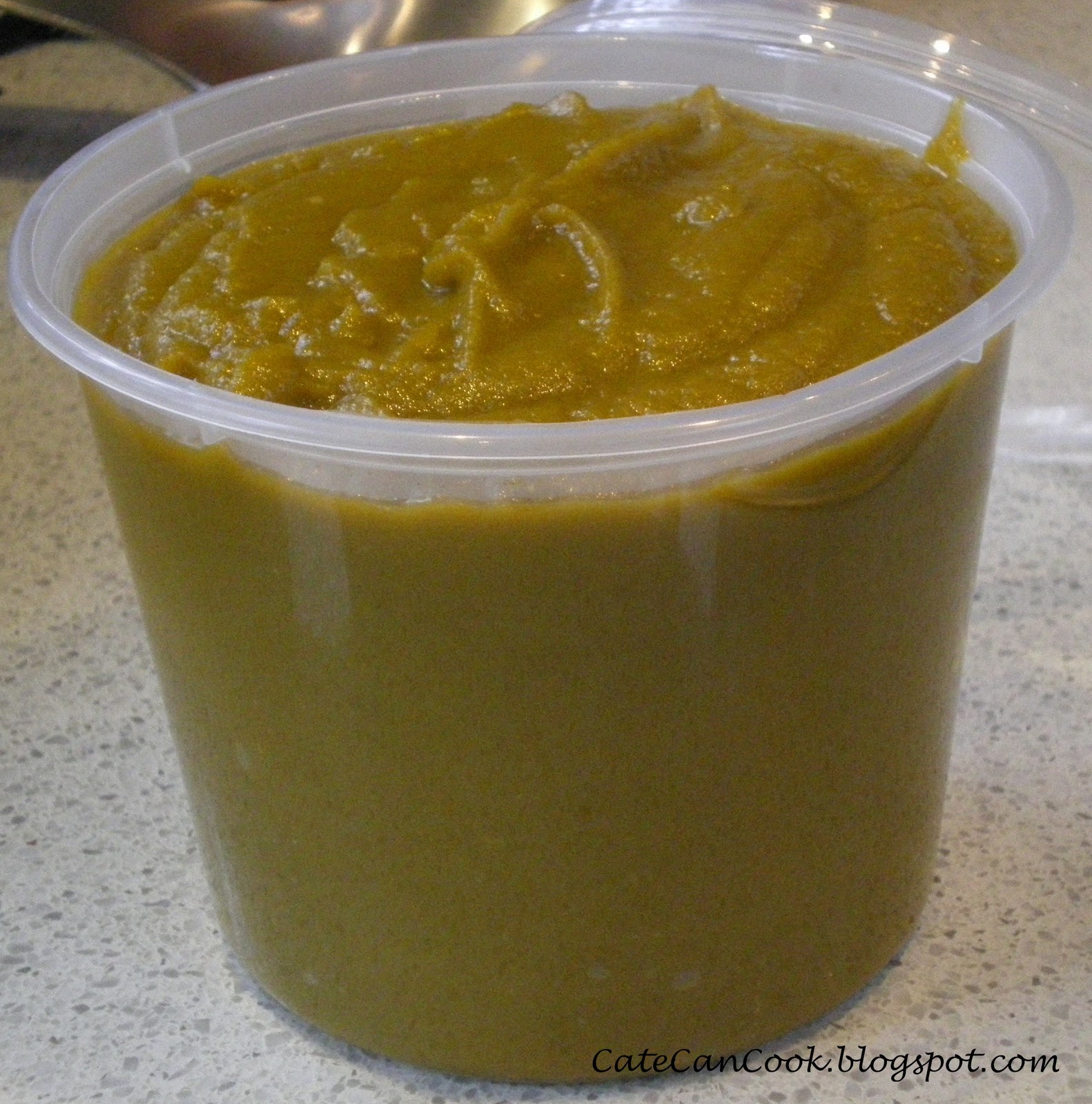 Cate Can Cook, So Can You!!: The Basics using a Thermomix