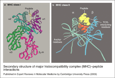 Naturaleza Cantábrica: 08/01/2009 - 09/01/2009