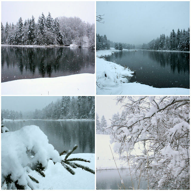 Aiken House & Gardens: In the Bleak Midwinter!