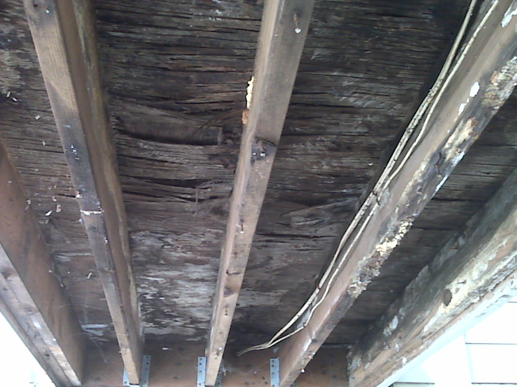 Dry Rot and Water Damage Repairs, Restoration