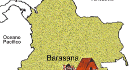 READER AT WORK : THE BARASANA