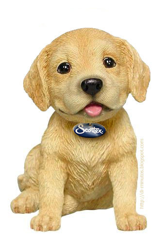 Di-minutos: La raza Scottex