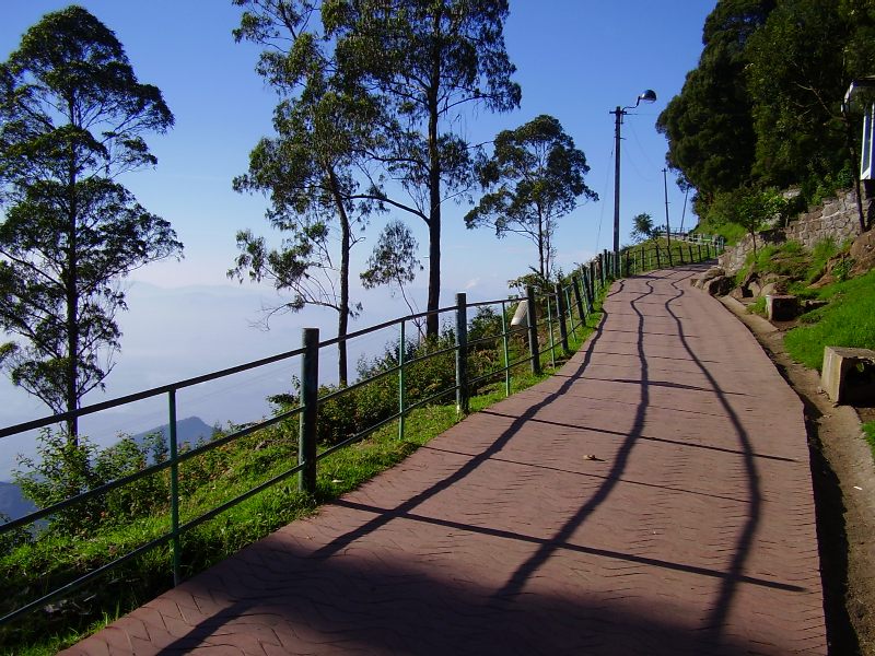 Coaker's Walk, Kodaikanal | Gems of Tamilnadu