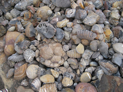 PORTAFOLIO TURISTICO NACIONAL: MUSEO ANTROPOLOGICO DEL MUNICIPIO DE ...