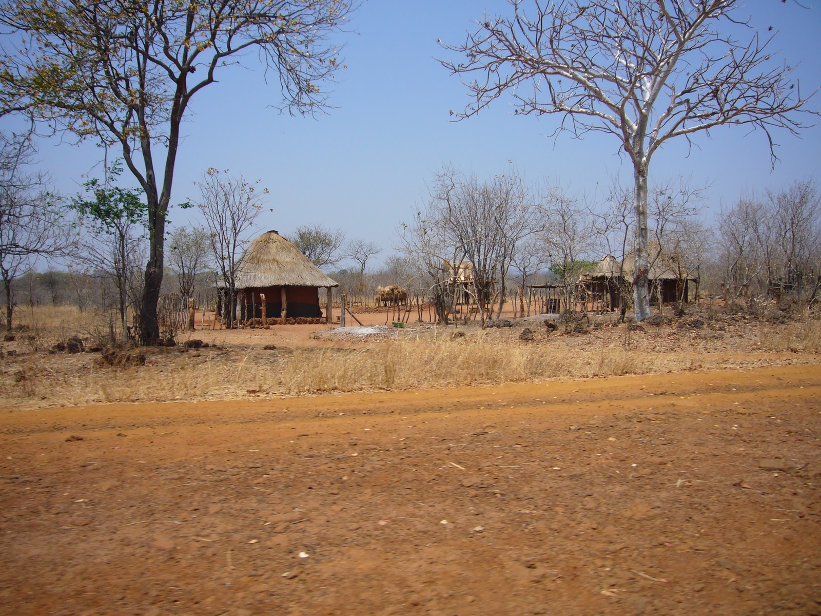 Rural Area