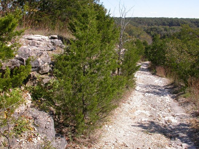 The Opulent Opossum: The Devil's Backbone, Boone County, Missouri