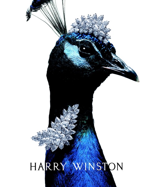 Harry Winston Ads