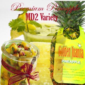 JTP TRADING SDN BHD: MD2 Pineapple Suckers/Seedling