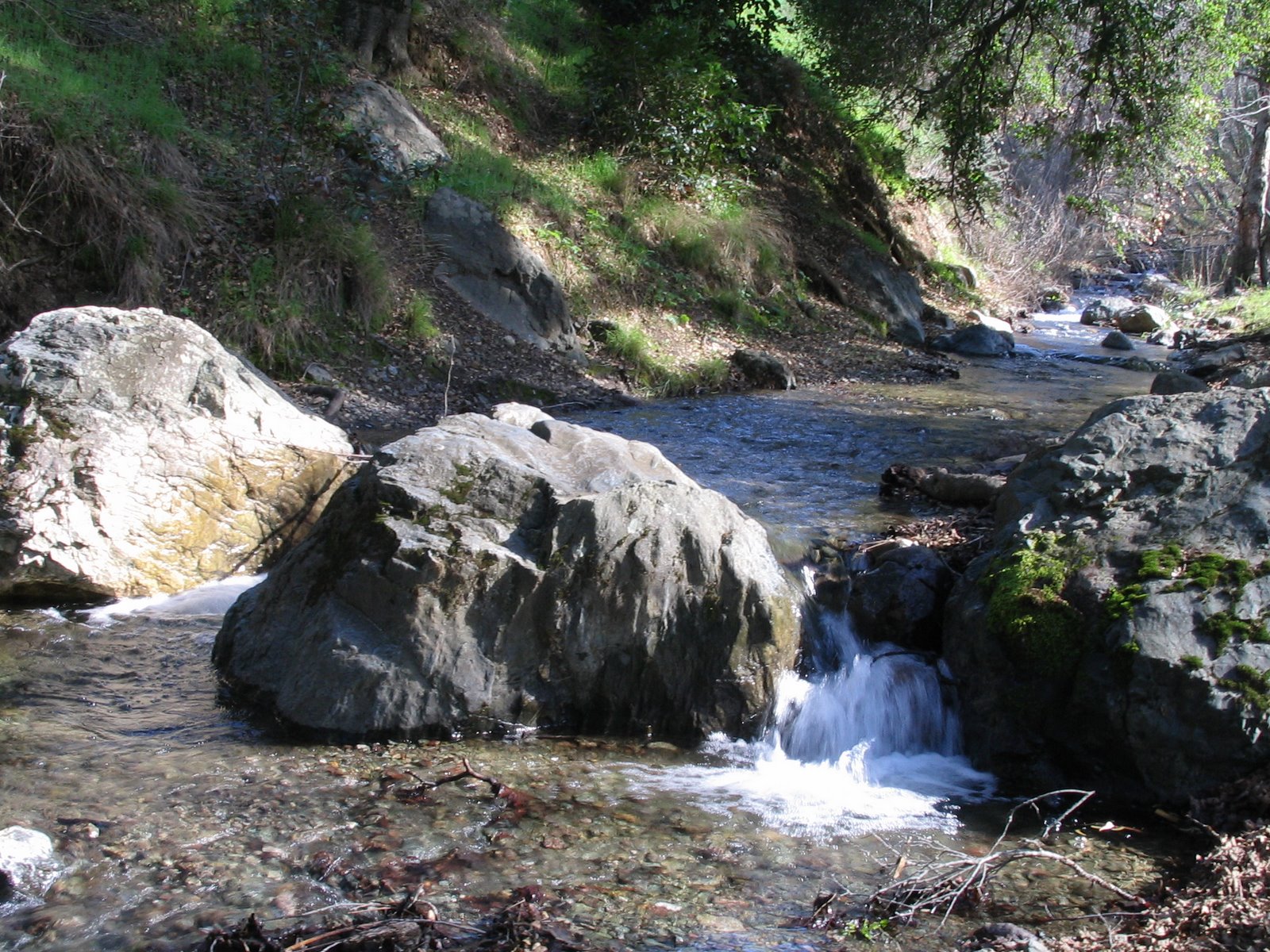 Gambolin' Man: MOUNT DIABLO STATE PARK: Traipsing & Scrambling In Wild ...