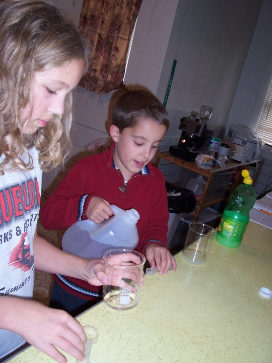 Homeschool Distractions: Week 8 and 9