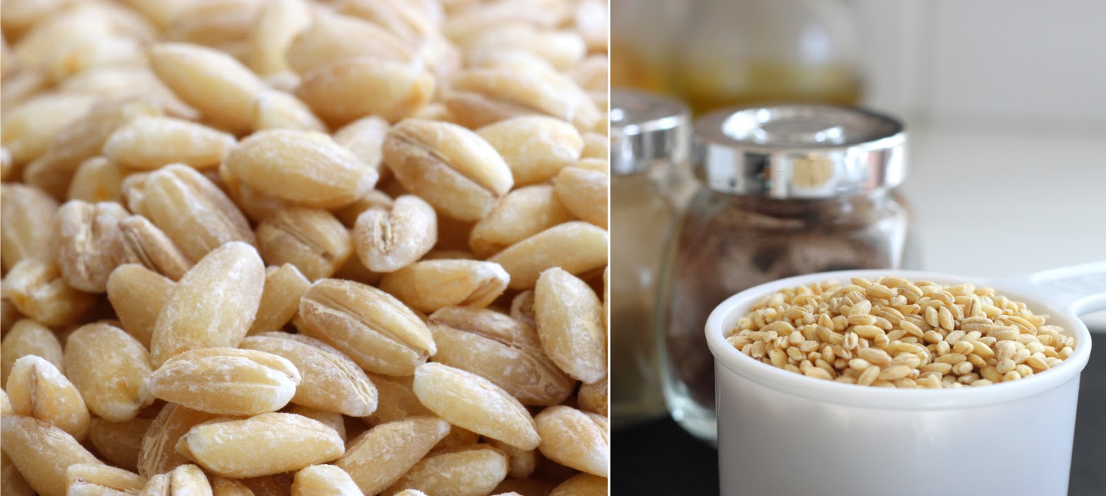 The Cilantropist: My Mom's Easiest Chicken Barley Chili