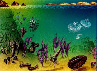 Les edats de la terra: PRECAMBRIÀ (4600 - 544 Ma)