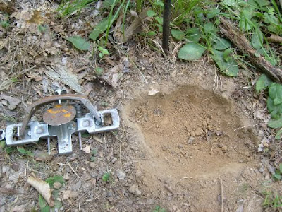 Trapping Supplies Review: Flat Sets