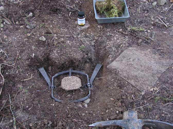 Trapping Supplies Review: Predator Set with a Double Longspring Trap