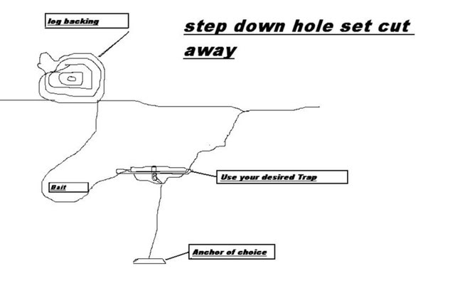 Trapping Supplies Review: Illustrations of Basic Trap Sets